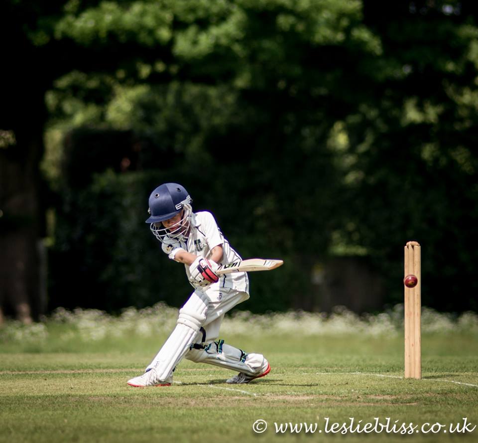 Gallery – Capel Cricket Club