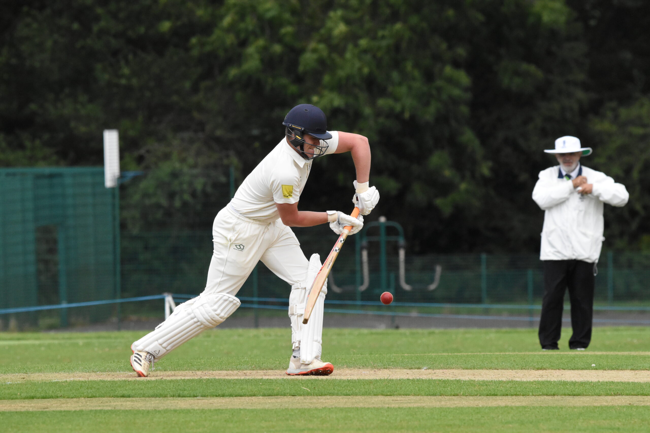 Gallery – Capel Cricket Club